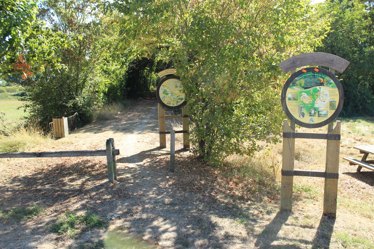 Prestations et activités pour vous guider - Le Clos de Saires